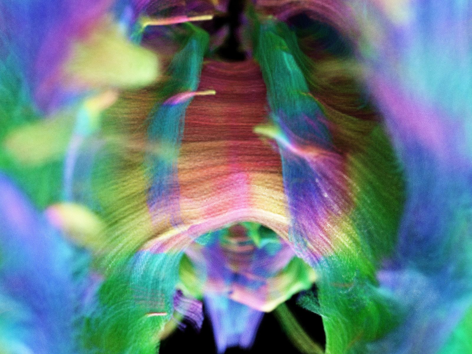 Translational Imaging in Neurology (ThINk) Basel Group | Department of ...